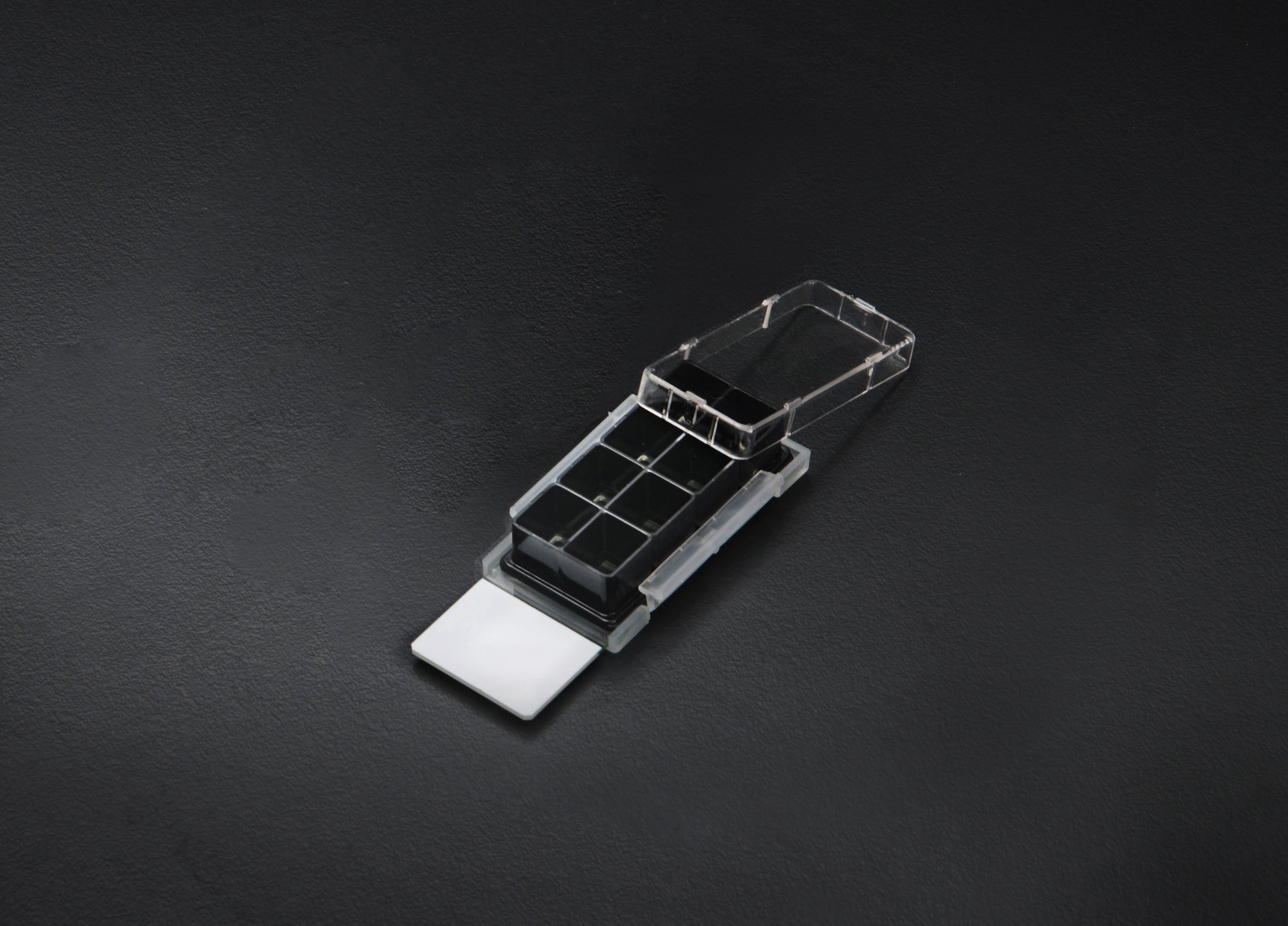 What is the Best Way to Monitor the Growth of Monolayer Cultures? – GMP ...