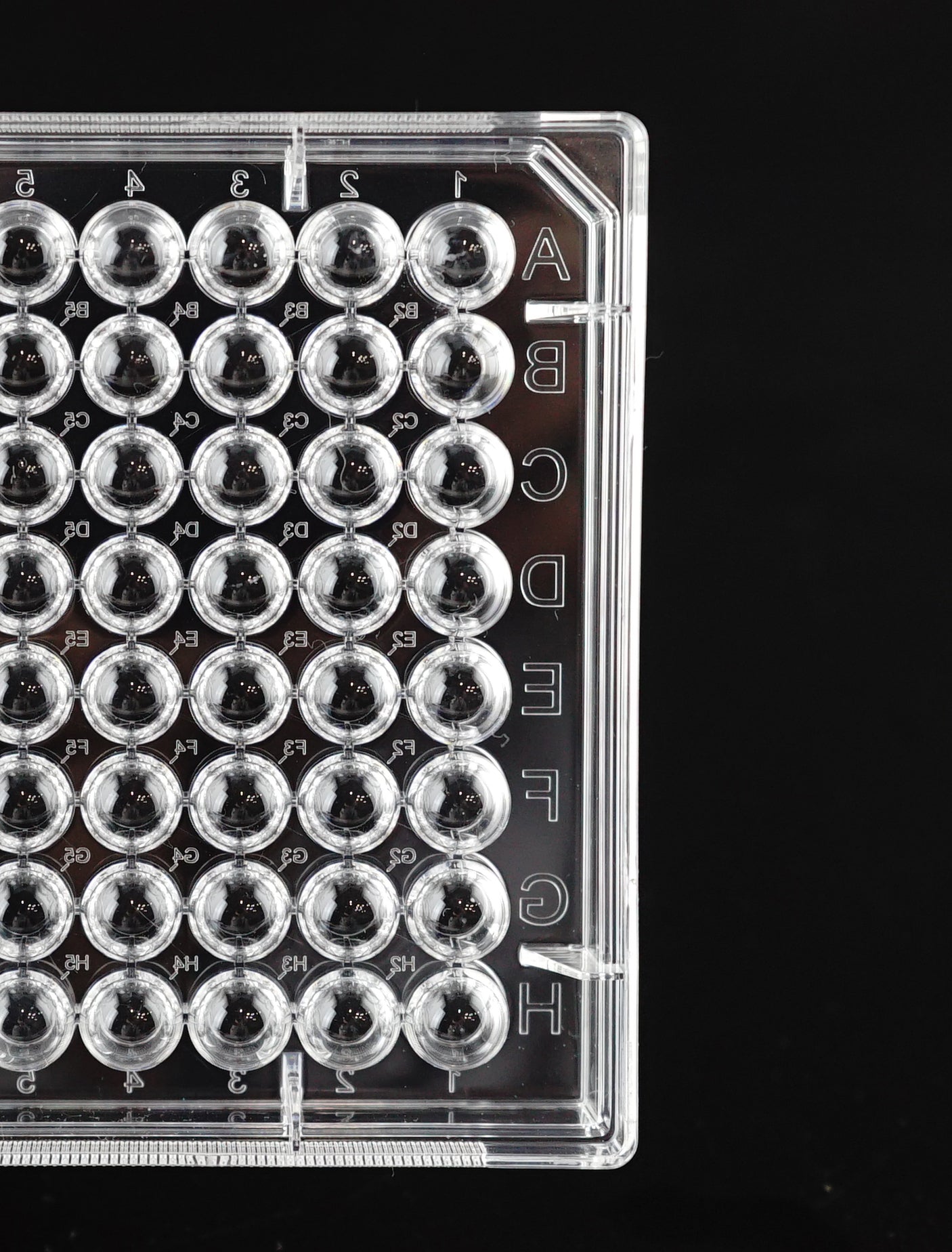 What are SBS/ANSI plates? – GMP Plastic