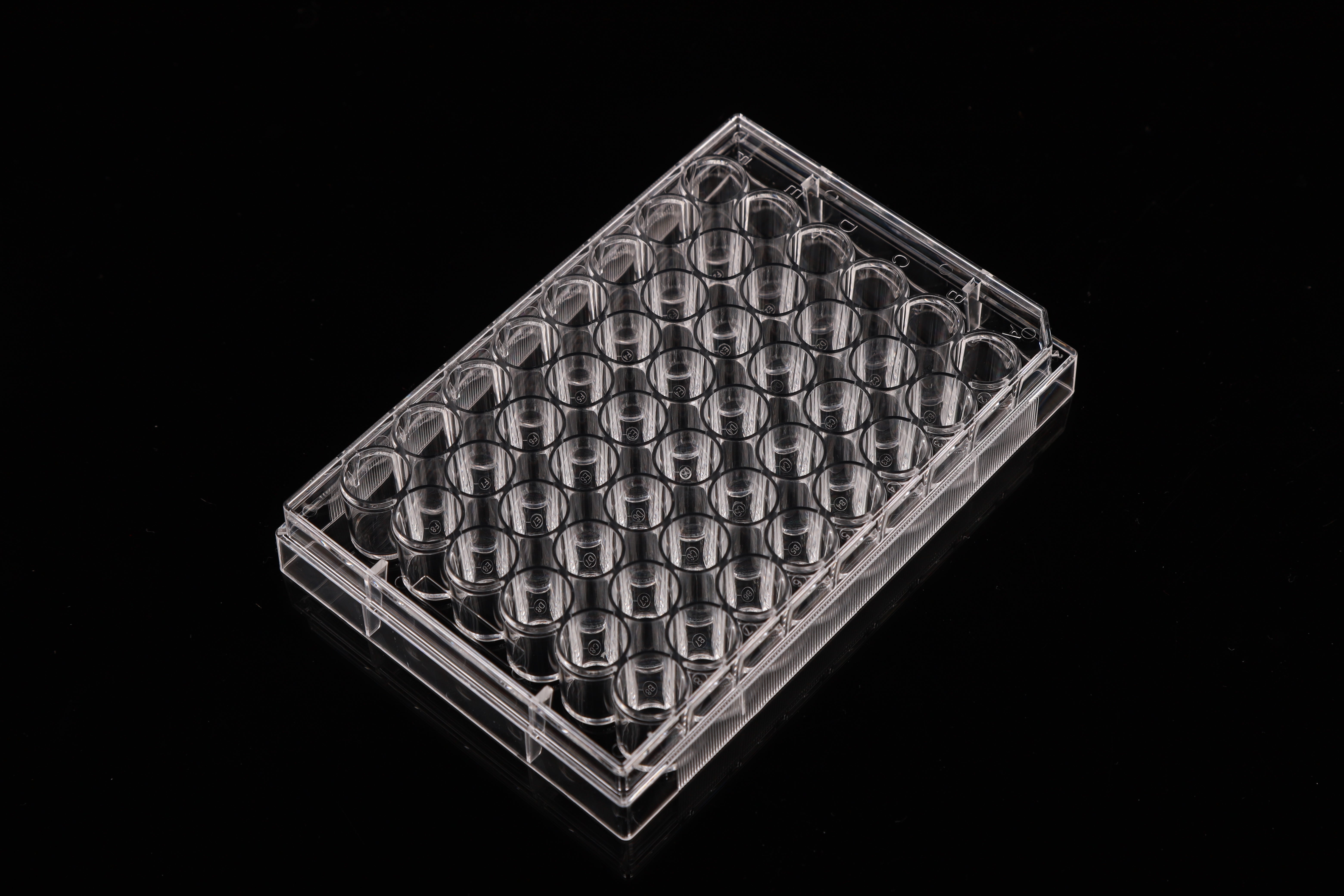 What is the Cell Viability Assay? – GMP Plastic