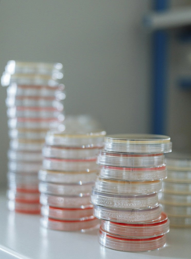 Antibiotic Resistance Testing SOP – GMP Plastic