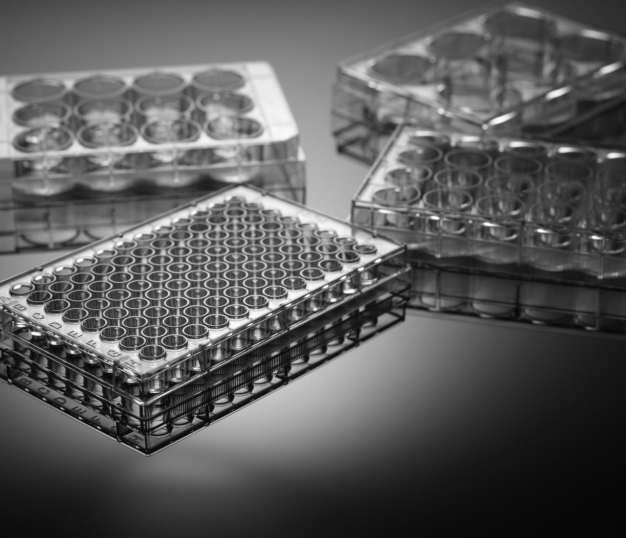 Intro To cell Culture – GMP Plastic