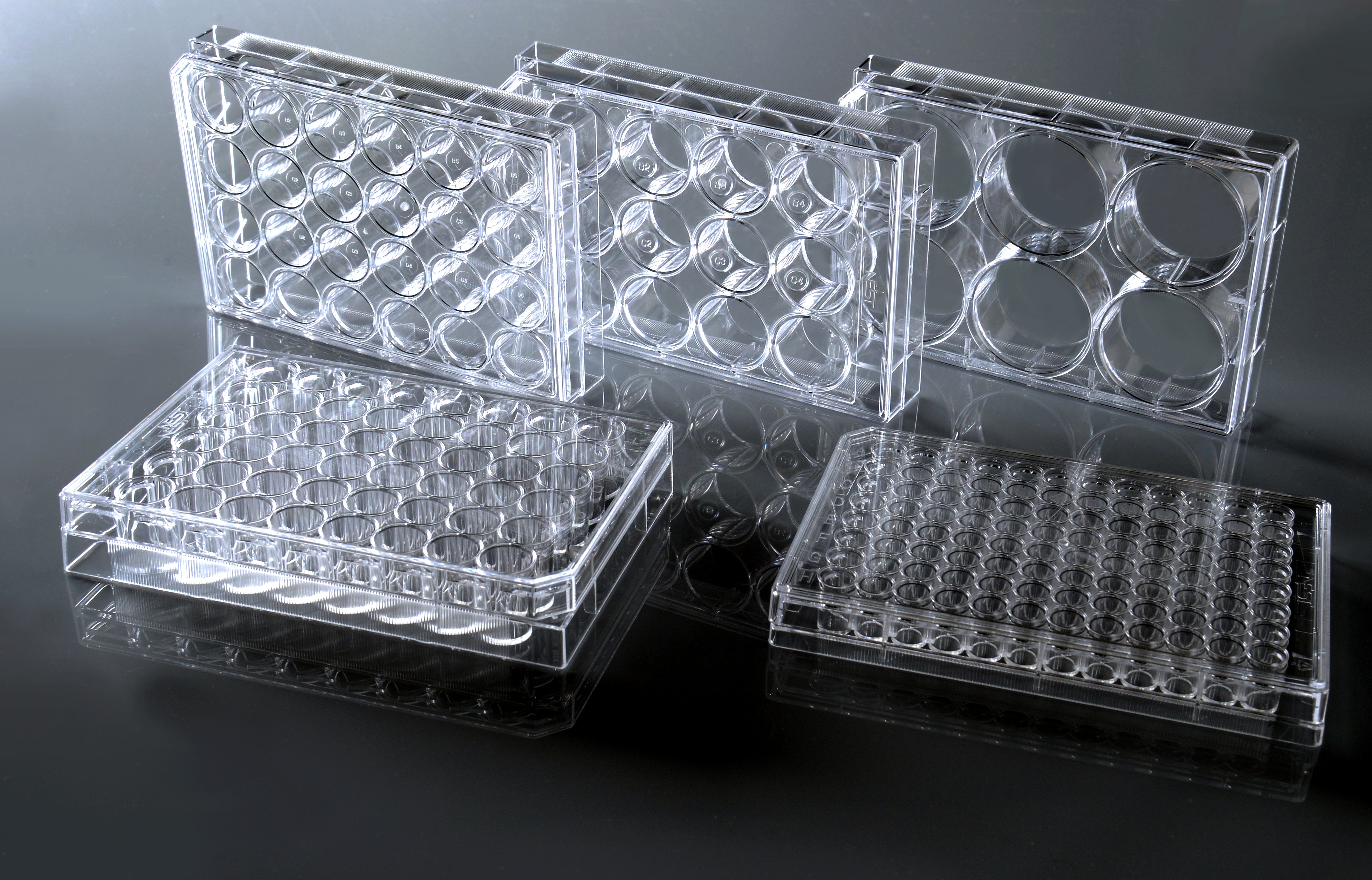 Different Kinds of Tissue Culture Plastics – GMP Plastic