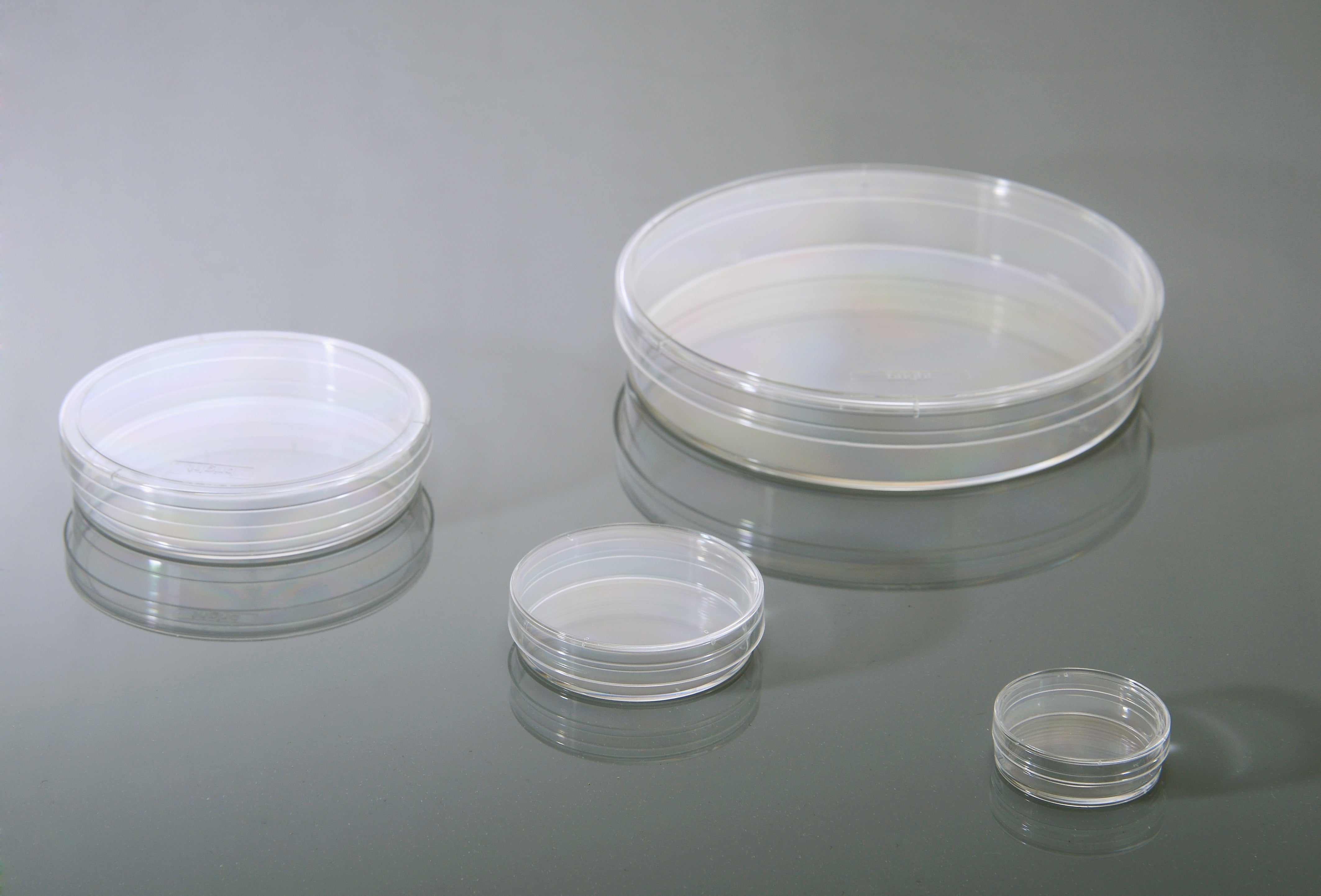 Intro to Microbiology – GMP Plastic