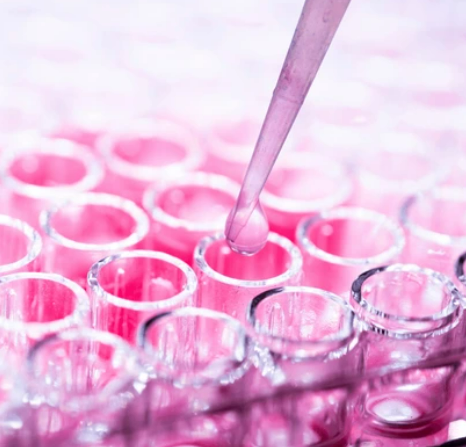 How to Optimize Cell Culture – GMP Plastic