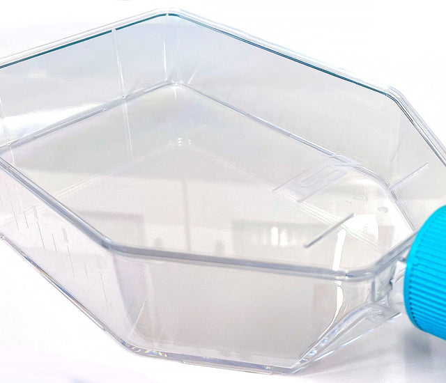 Why Gas Permeability Matters in Cell Culture Flask Design – GMP Plastic