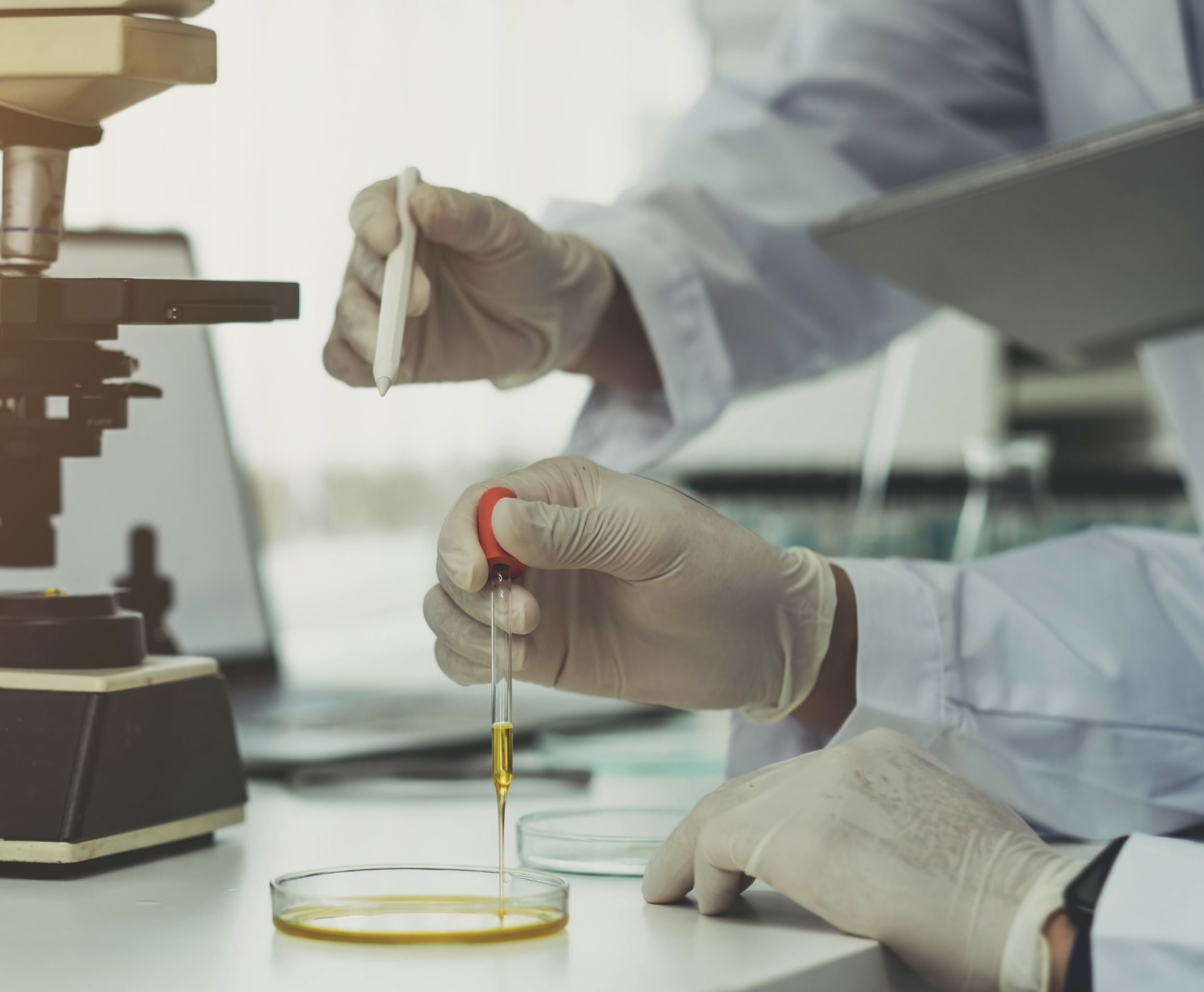 Microbial Plating: Culturing Bacteria & Fungi on Agar Plates – GMP Plastic