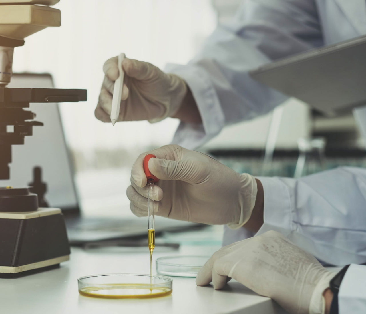 Microbial Plating: Culturing Bacteria & Fungi on Agar Plates – GMP Plastic