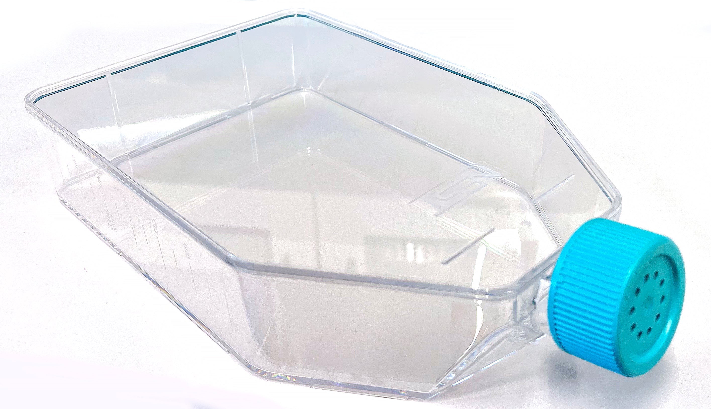 Treated Cell Culture Flasks – GMP Plastic