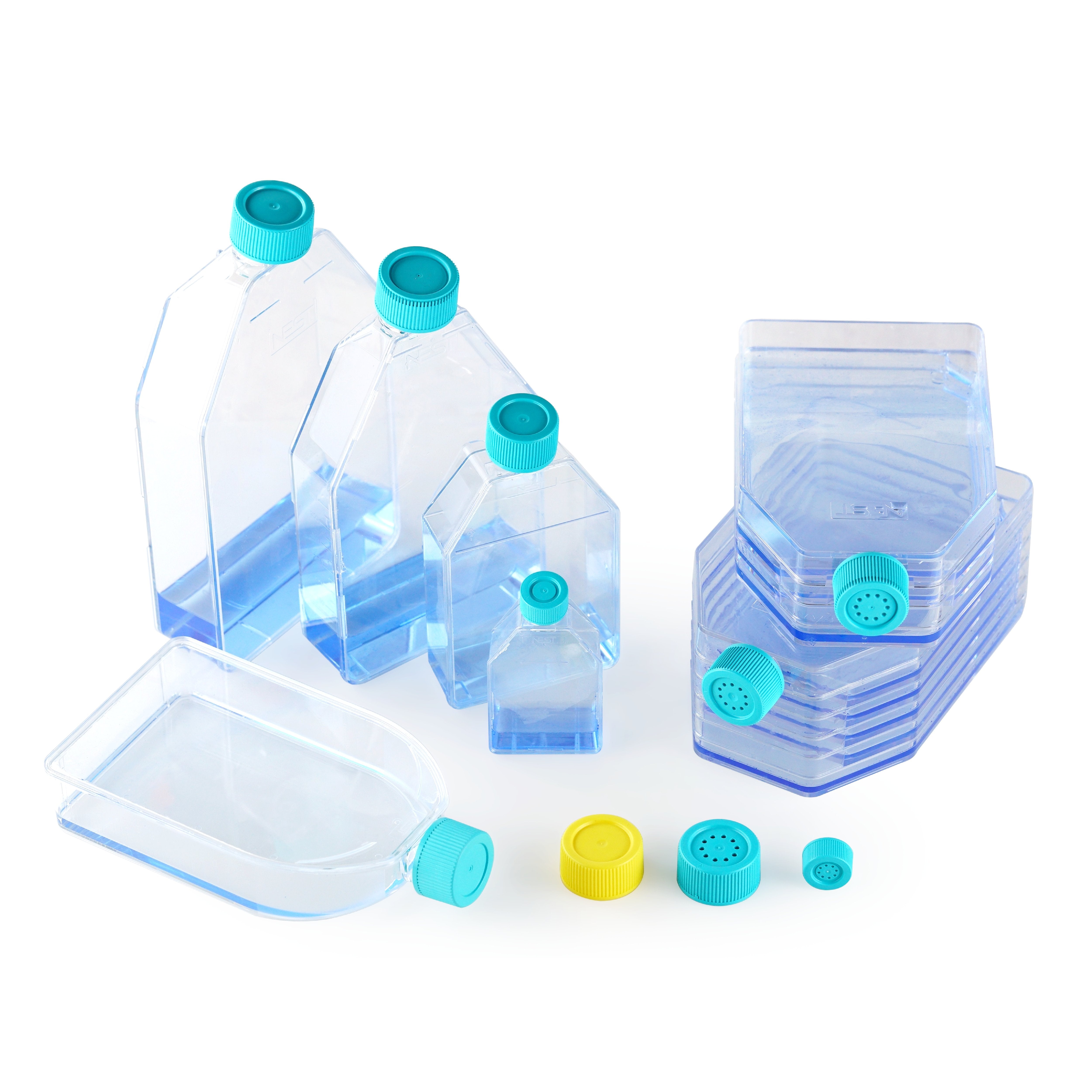 Cell Culture Flasks – GMP Plastic