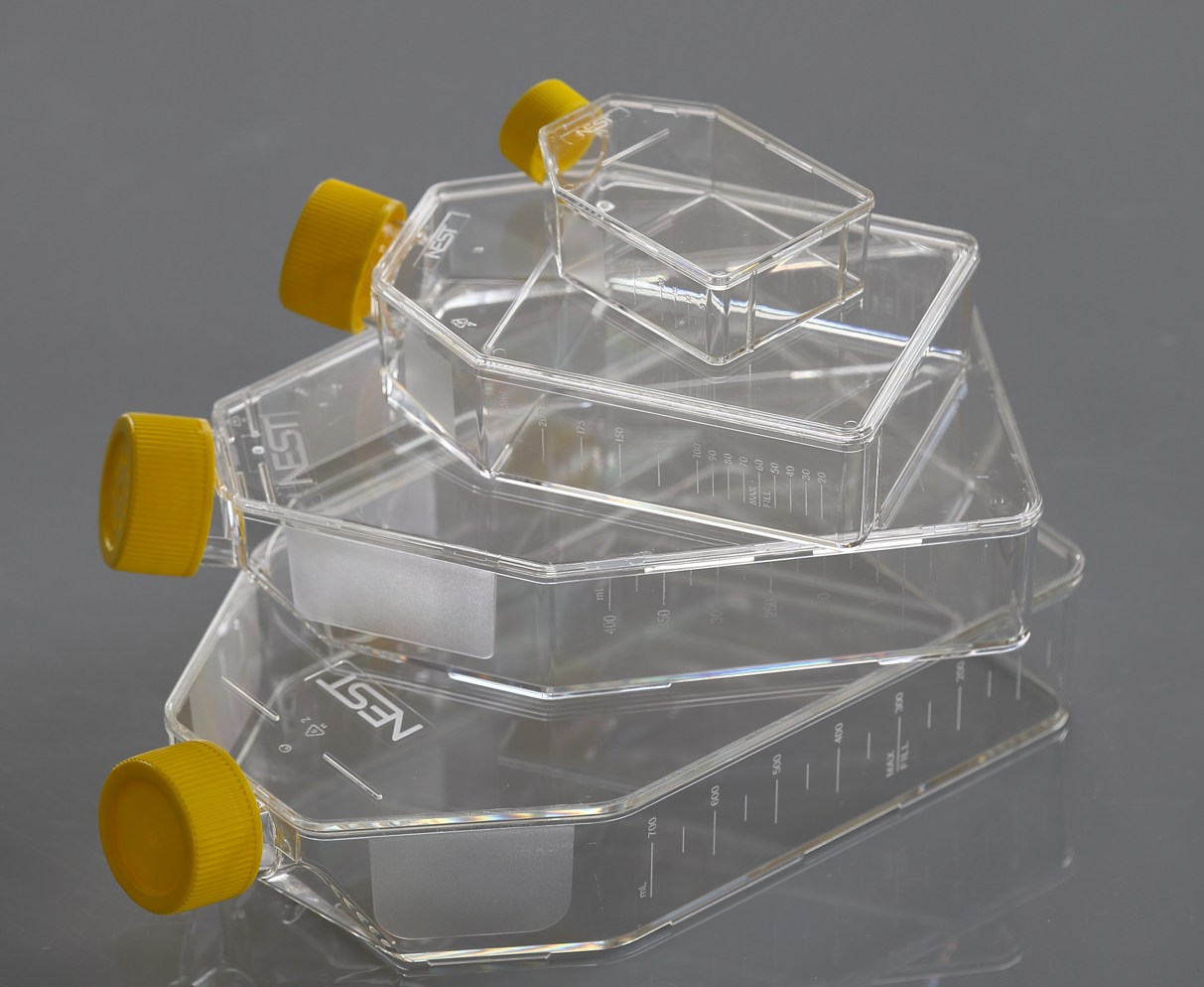 Cell Culture Flasks – GMP Plastic